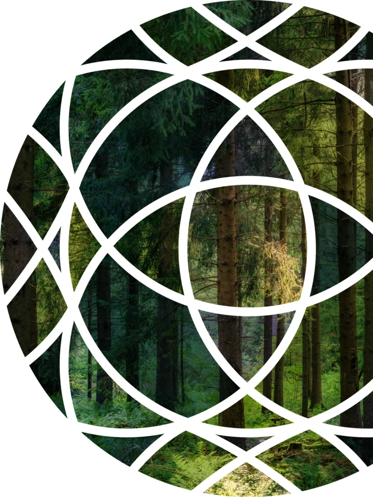 Transformit | Ideamatic Digital Experiences